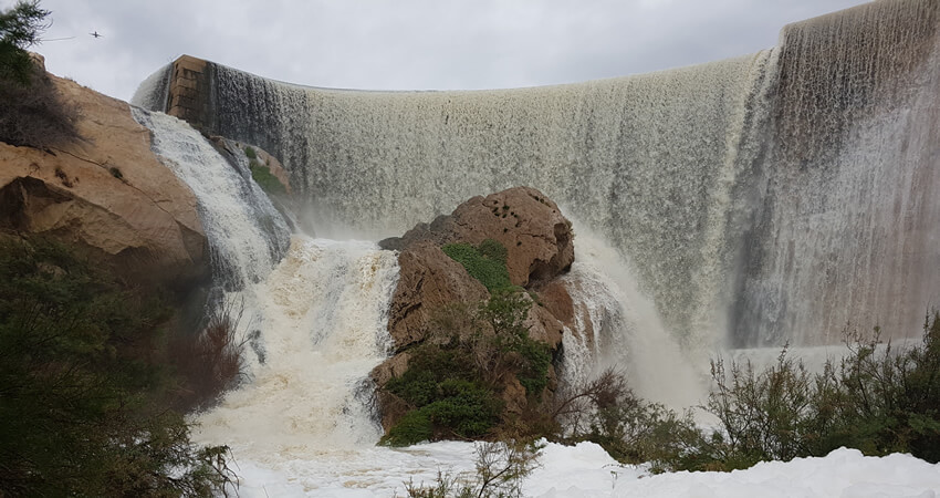 Geniet van de schoonheid van el Pantano de Elche - Vlamingen in de ...